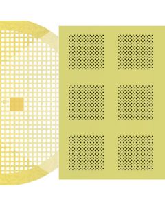 C-flat™ Grids - TEM Grids - Verbrauchsmaterial & Werkzeuge